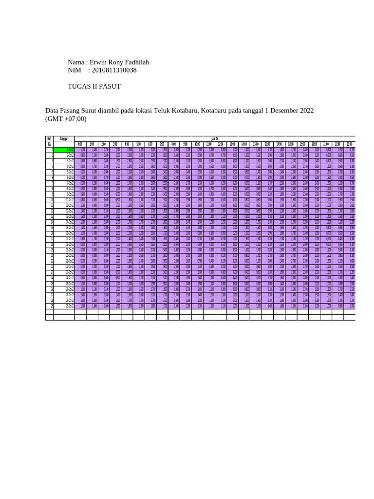Tugas Aplikasi II Mandiri Pengairan Pasang Surut_Erwin Rony Fadhilah ...