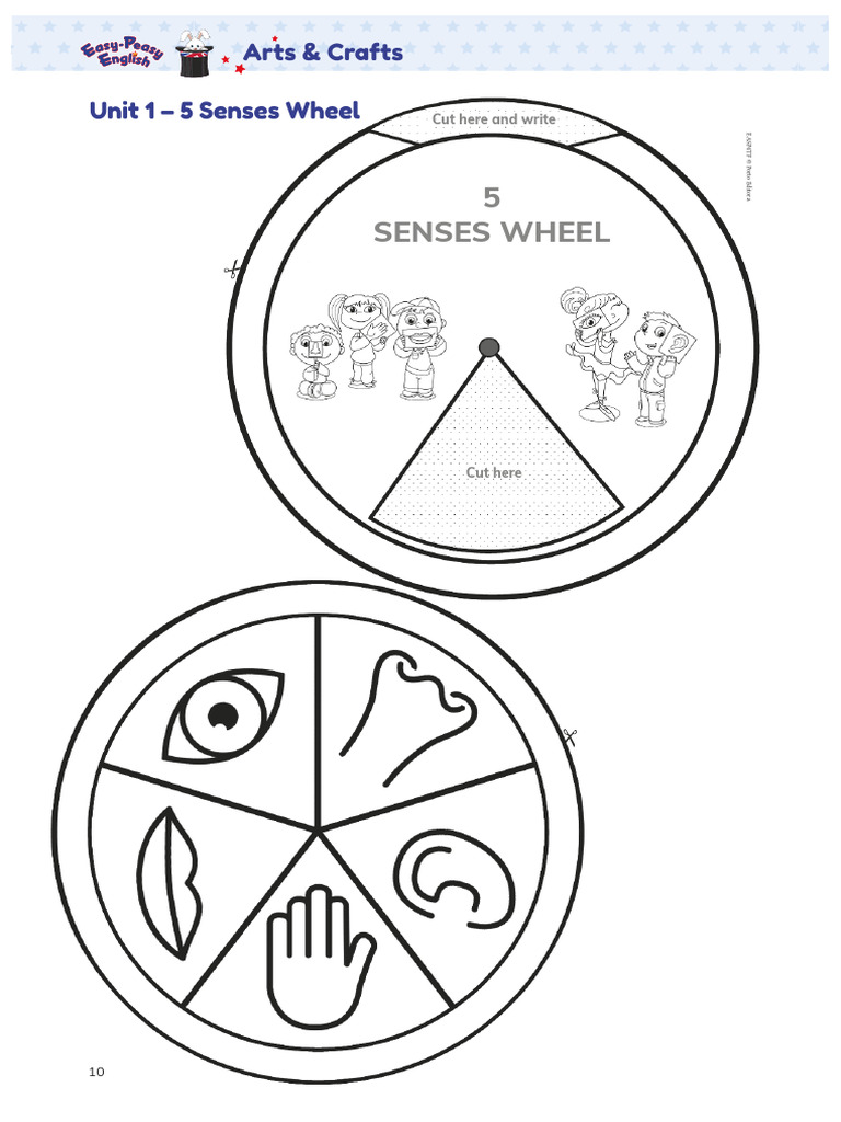 5 Senses Wheel Arts & Crafts Activity | PDF
