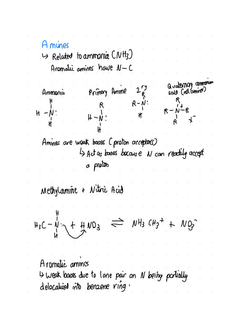 Understanding Amines and Their Properties | PDF | Amine | Molecules