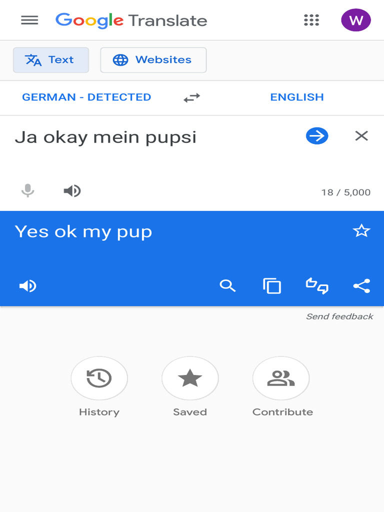 Google Translate | PDF