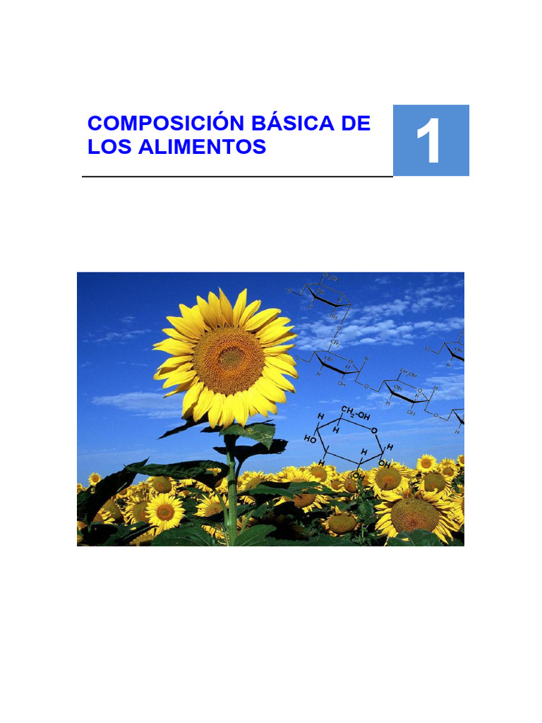 Tema 1 Composición Básica de Los Alimentos | PDF | Alimentos | Agua