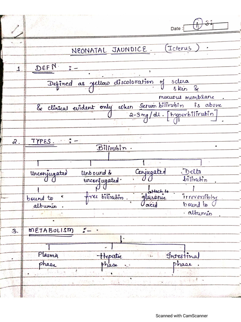 Neonatal Jaundice | PDF