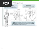 Esquemas Cuaderno 6 | PDF