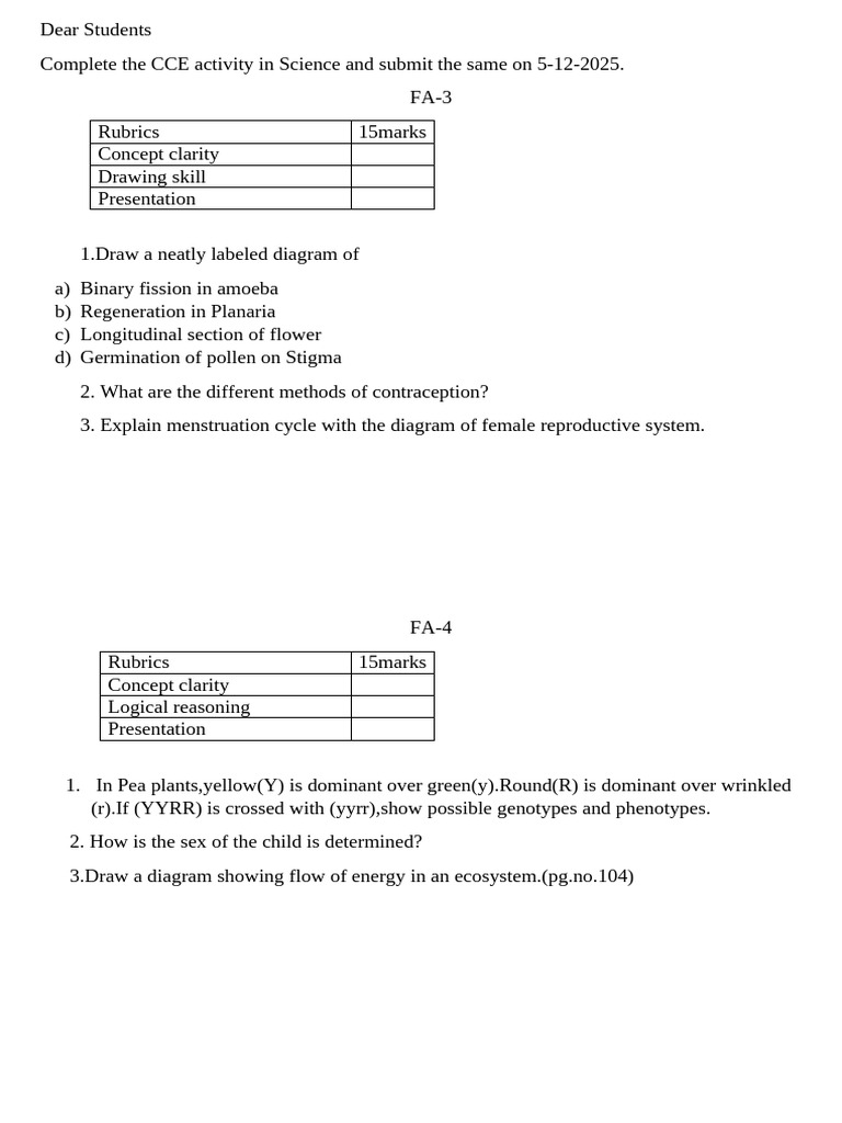 Science CCE Activity Guidelines 2025 | PDF