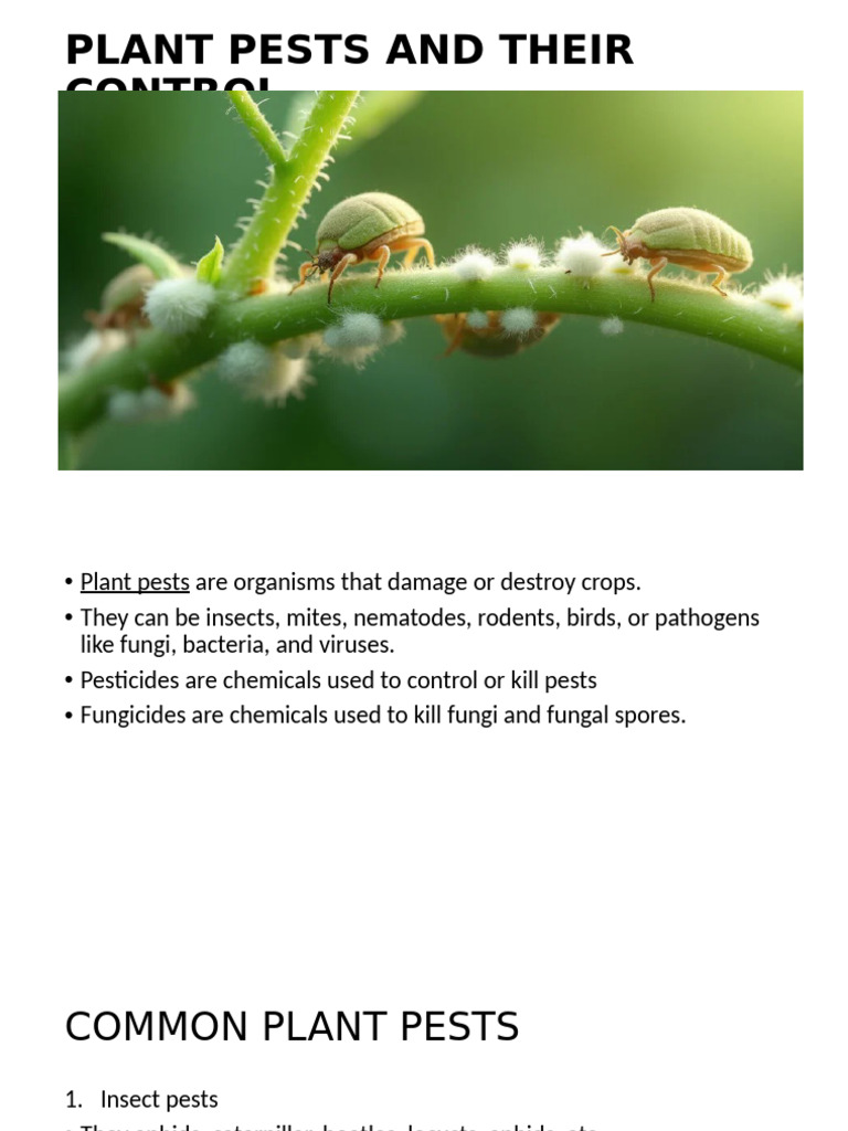 Plant Pests and Their Control | PDF