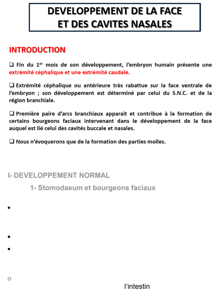 Développement de la Face et Cavités Nasales | PDF | Anatomie humaine ...