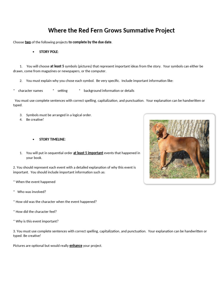 Red Fern Grows Project Guidelines | PDF
