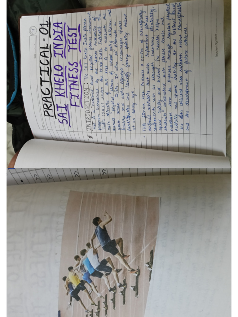 Physical Education Project | PDF