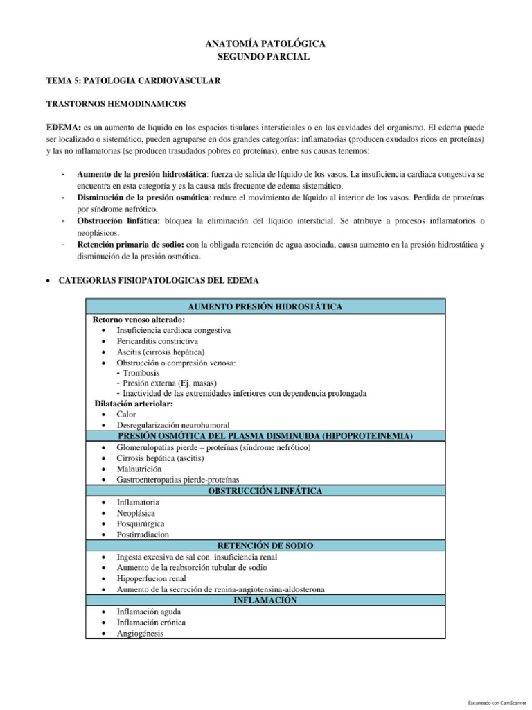 Guía teórica AP (II-2016)2do parc (1) | PDF