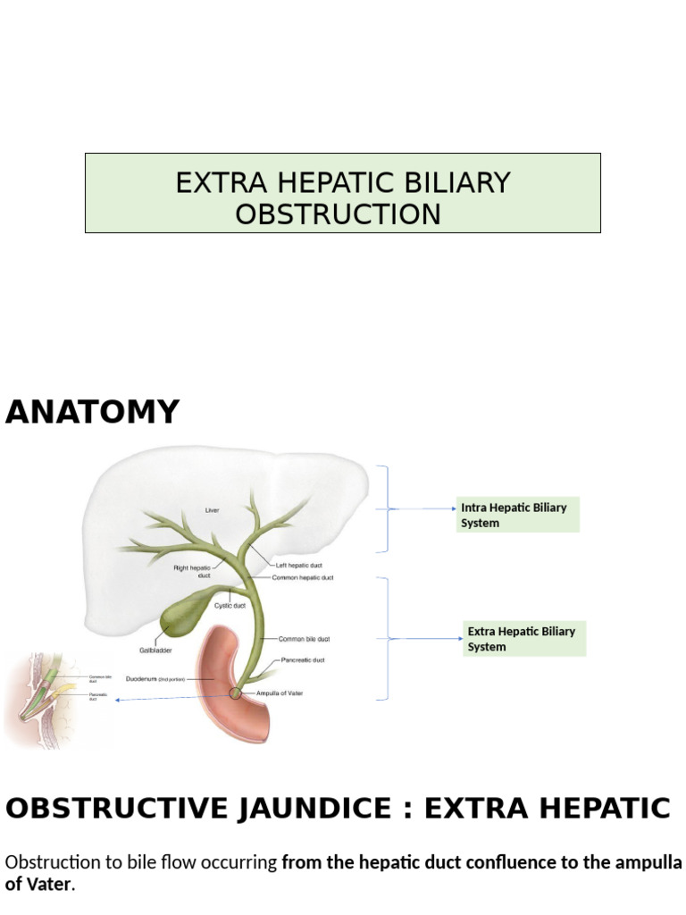 Extra Hepatic Biliary Obstruction | PDF | Medical Specialties ...