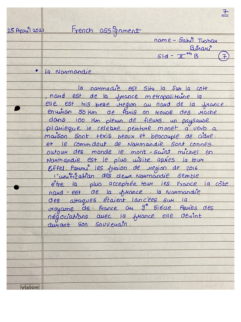 French Assignment | PDF