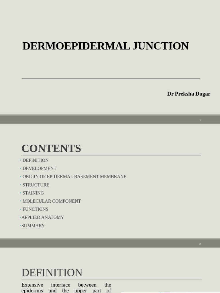 Dermoepidermal Junction Ppt | PDF | Epidermis | Integrin
