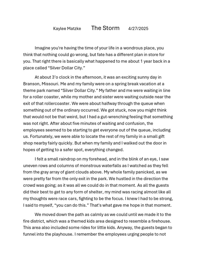 Document 3 Copy | PDF