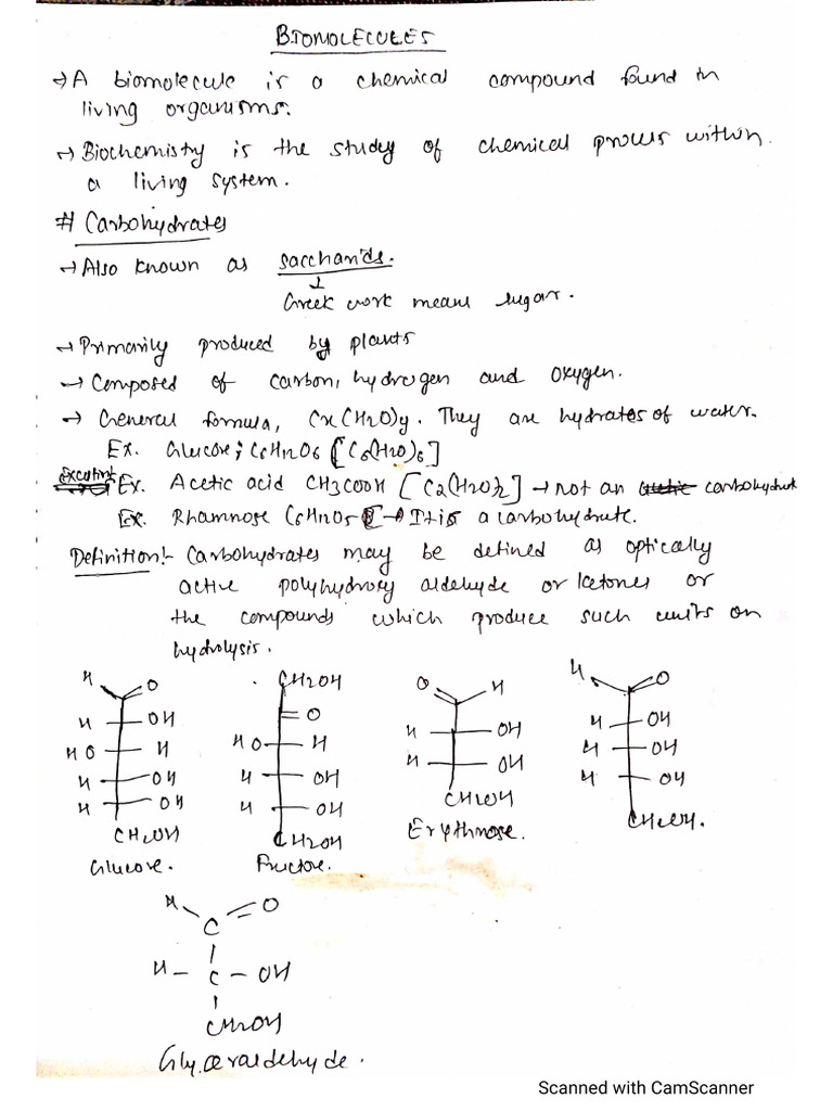 Biomolecules Class 12th | PDF