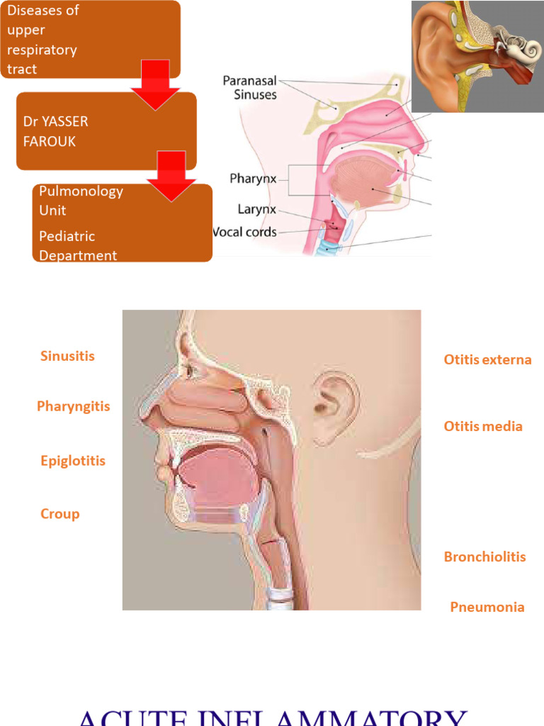 week 3 Resp 1 | PDF | Diseases And Disorders | Medical Specialties