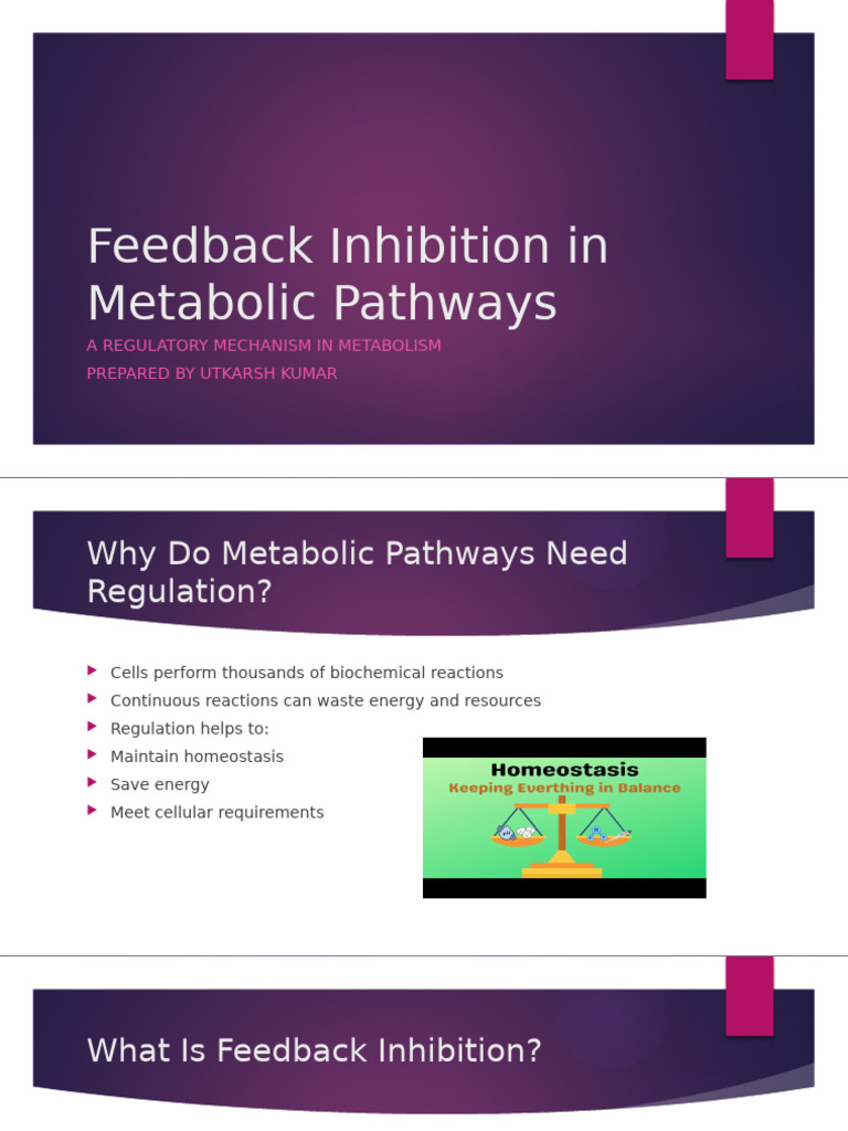 Understanding Feedback Inhibition in Metabolism | PDF | Enzyme ...