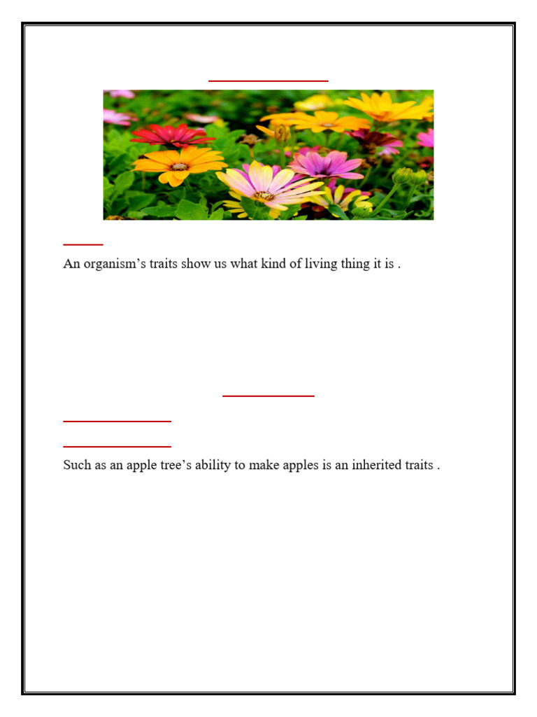 Plant Traits g 3 - 26-1 | PDF