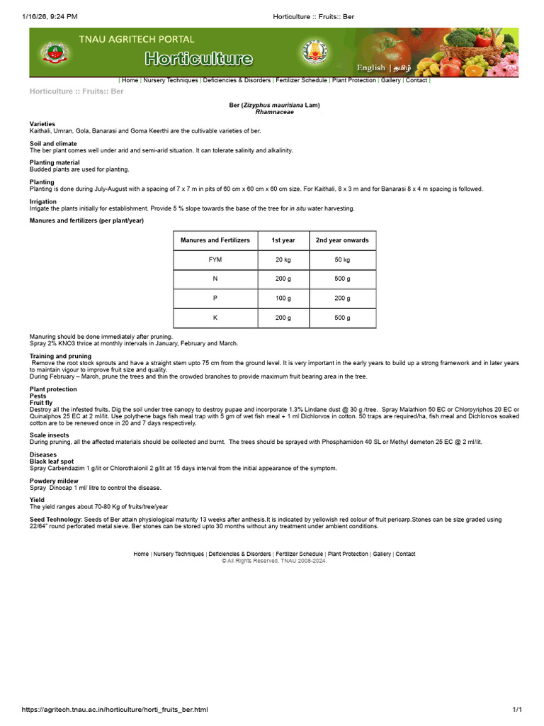 Ber Cultivation Guide and Care | PDF | Pruning | Plants