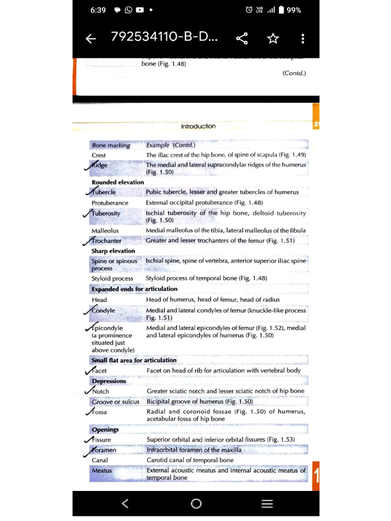 5d | PDF