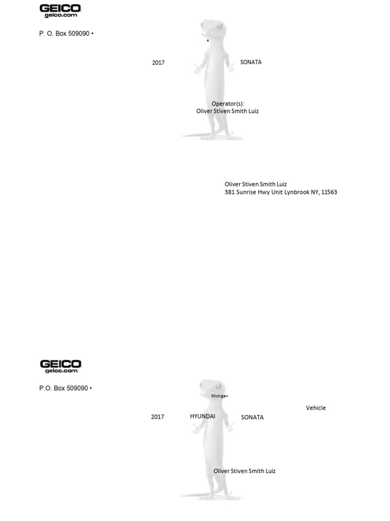 Rodrigo Roque Liabillity | PDF | Insurance | Transport