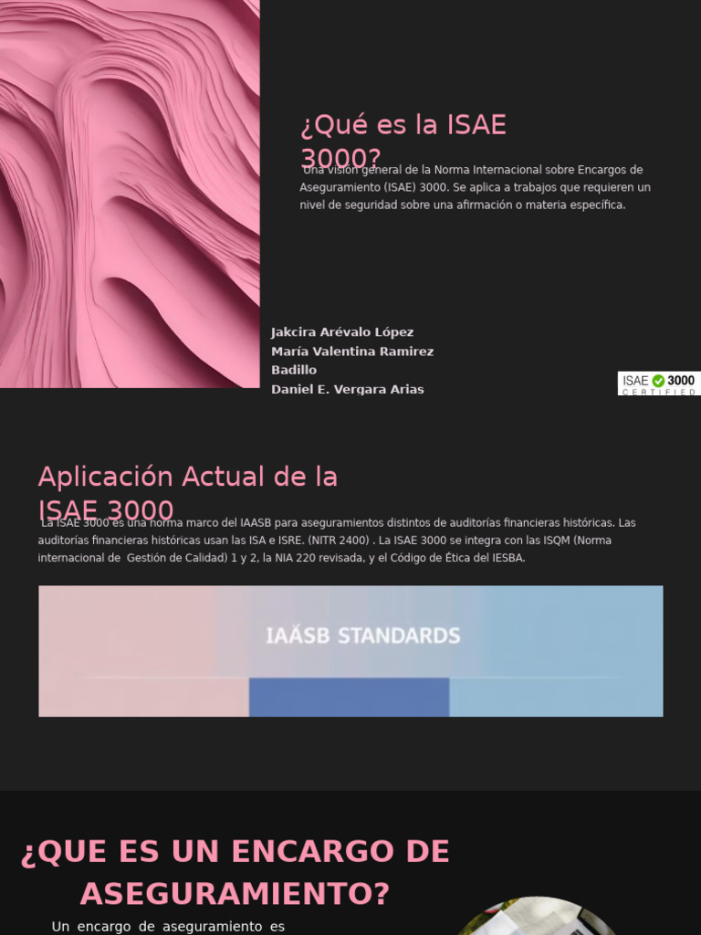 Que Es La Isae 3000 Exposicion | PDF | Auditoría