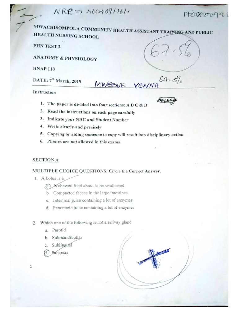 Anatomy and Physiology Chs Test | PDF