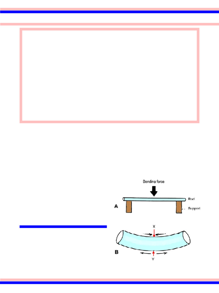 Bone Structure and Formation Explained | PDF | Bone | Osteoblast