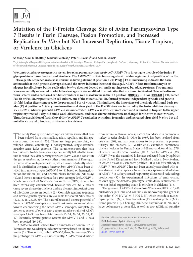 APMV-7 F-Protein Mutation Effects | PDF | Complementary Dna | Green ...