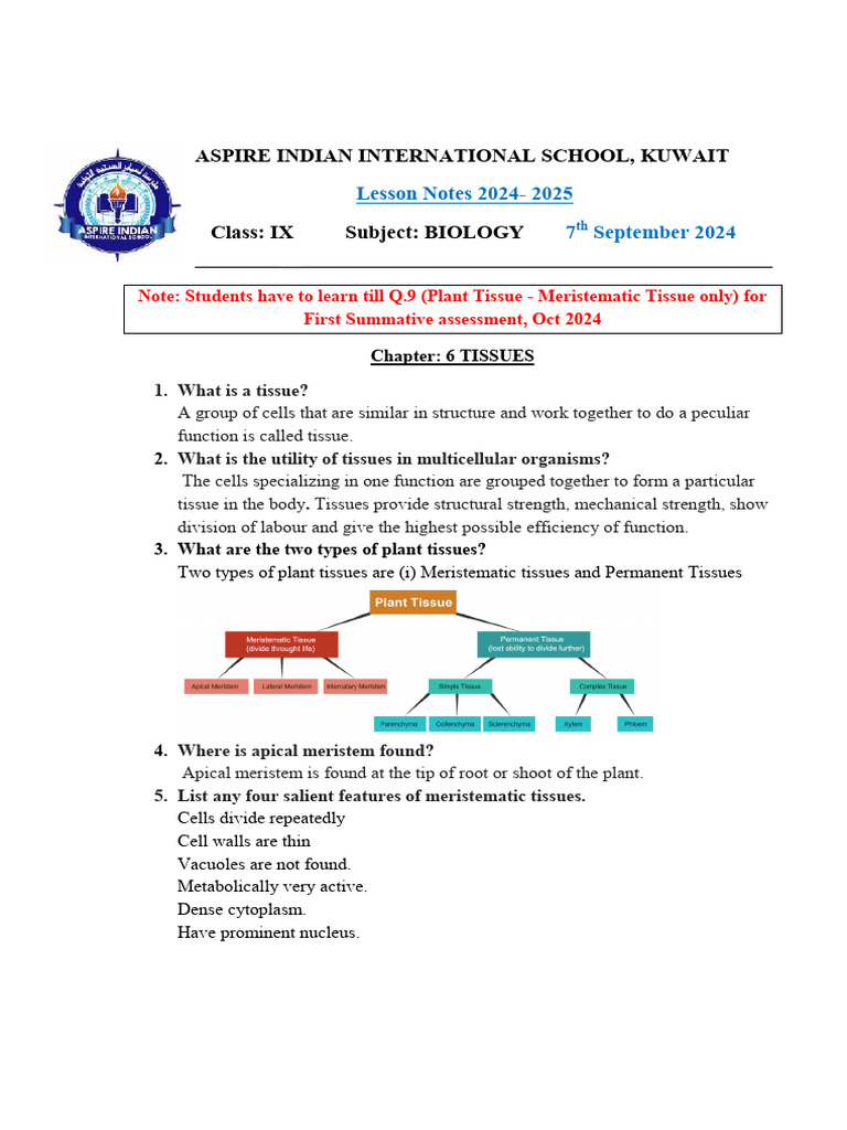 Screenshot 2024-12-08 at 8.10.00 PM | PDF | Epithelium | Tissue (Biology)