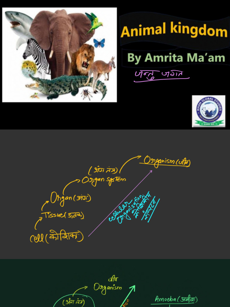 Lecture-56 __ Animal Kingdom(Part 01)_9649213266 | PDF