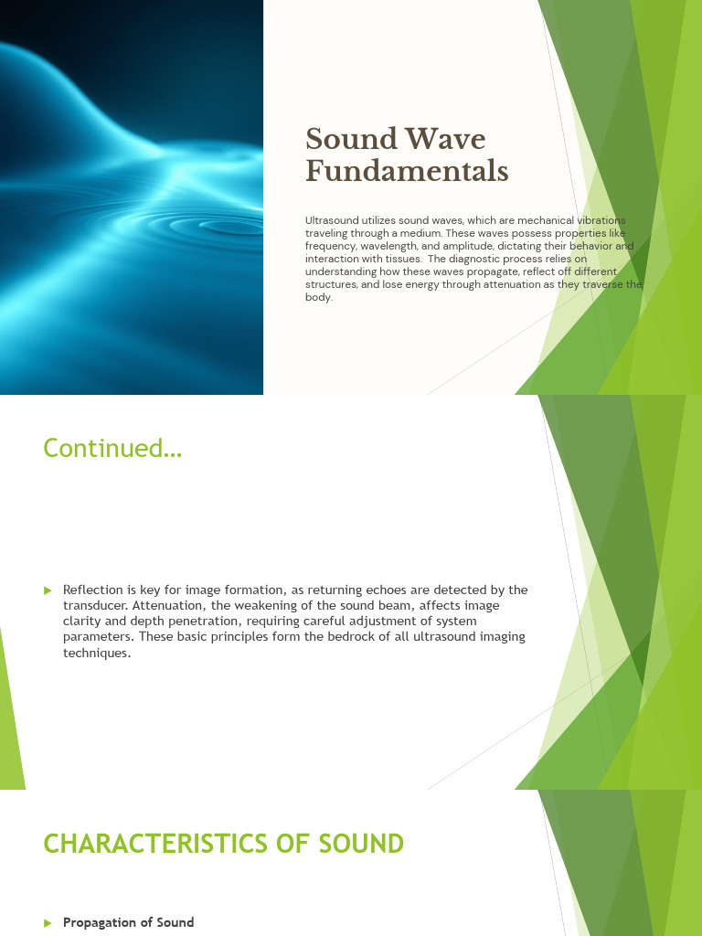 Basic Us Physics Summary | PDF | Sound | Waves