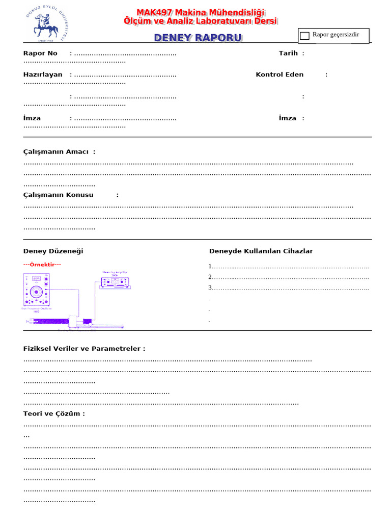 Rapor Format (1) | PDF