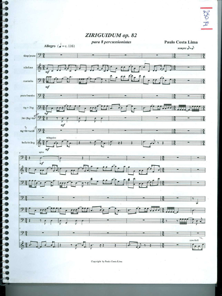 Ziriguidum Partitura Compressed | PDF