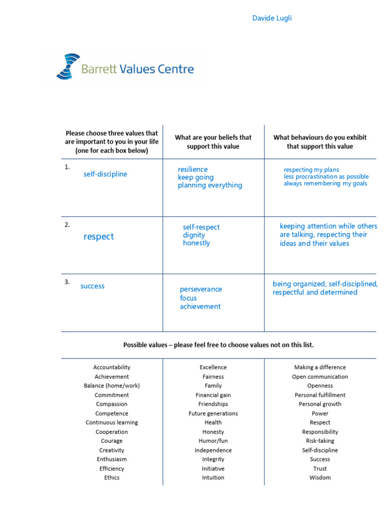 Values Beliefs Behaviours Done | PDF | Courage | Value (Ethics)