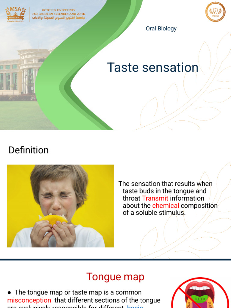 Taste Sensation (1) | PDF | Taste | Senses