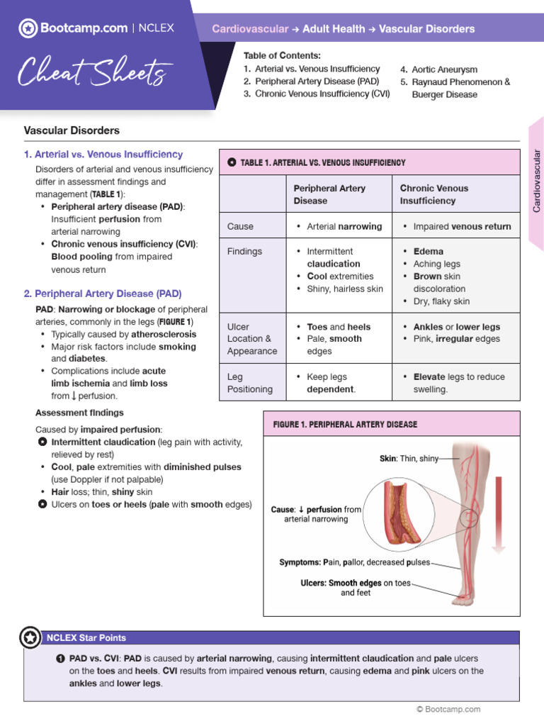 Arterial and Venous Insufficiency Guide | PDF | Ischemia | Vein