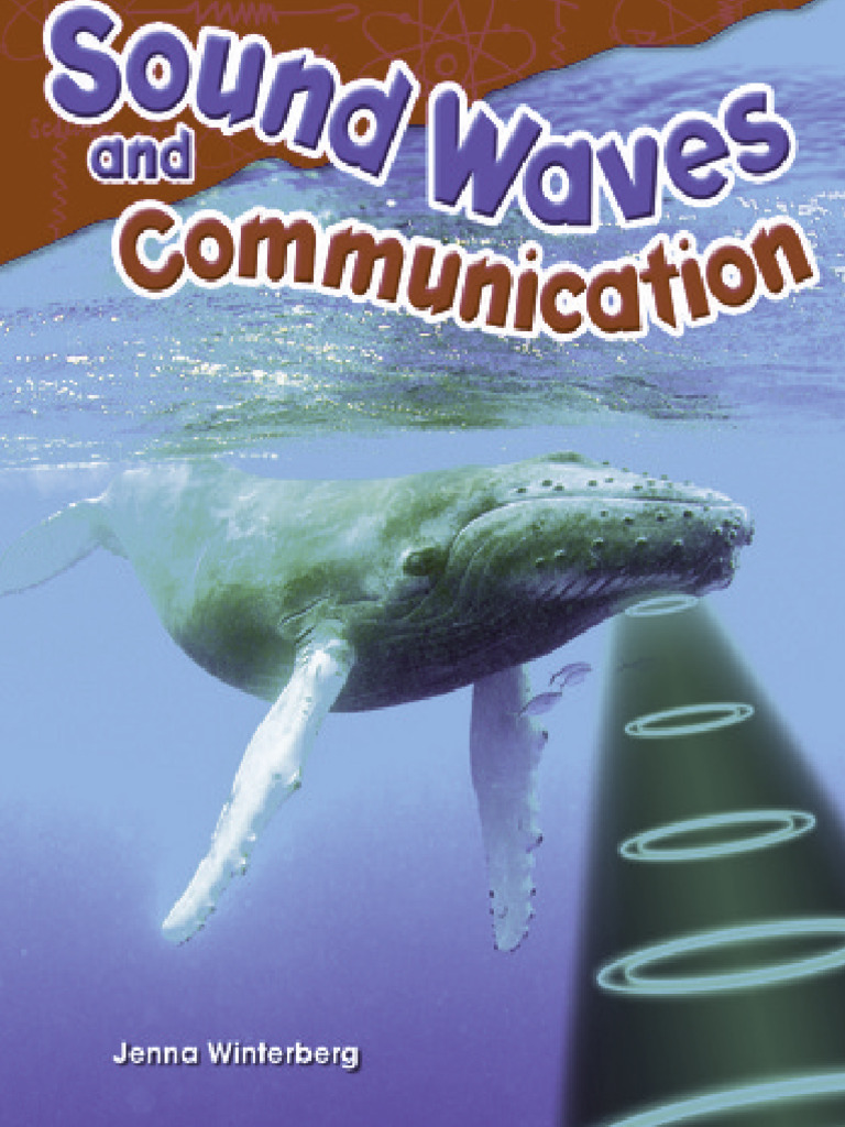 Sound Waves and Communication | PDF