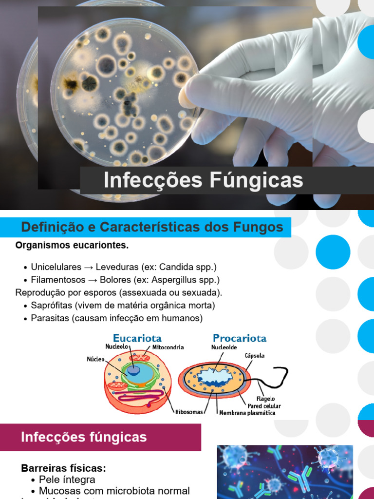 Guia Completo sobre Infecções Fúngicas | PDF | Fungo | Infecção