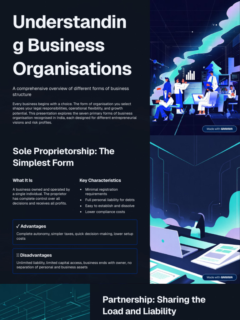 Understanding Business Organisations | PDF | Partnership | Limited ...