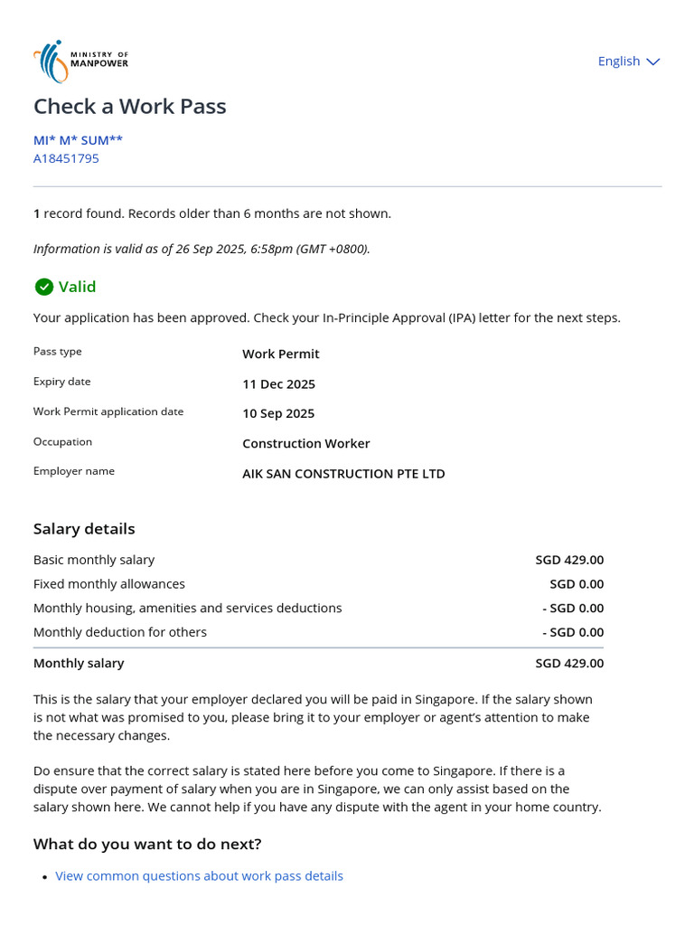 MOM _ Check a Work Pass | PDF