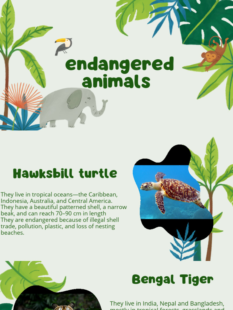 Endangered Hawksbill Turtle & Bengal Tiger | PDF
