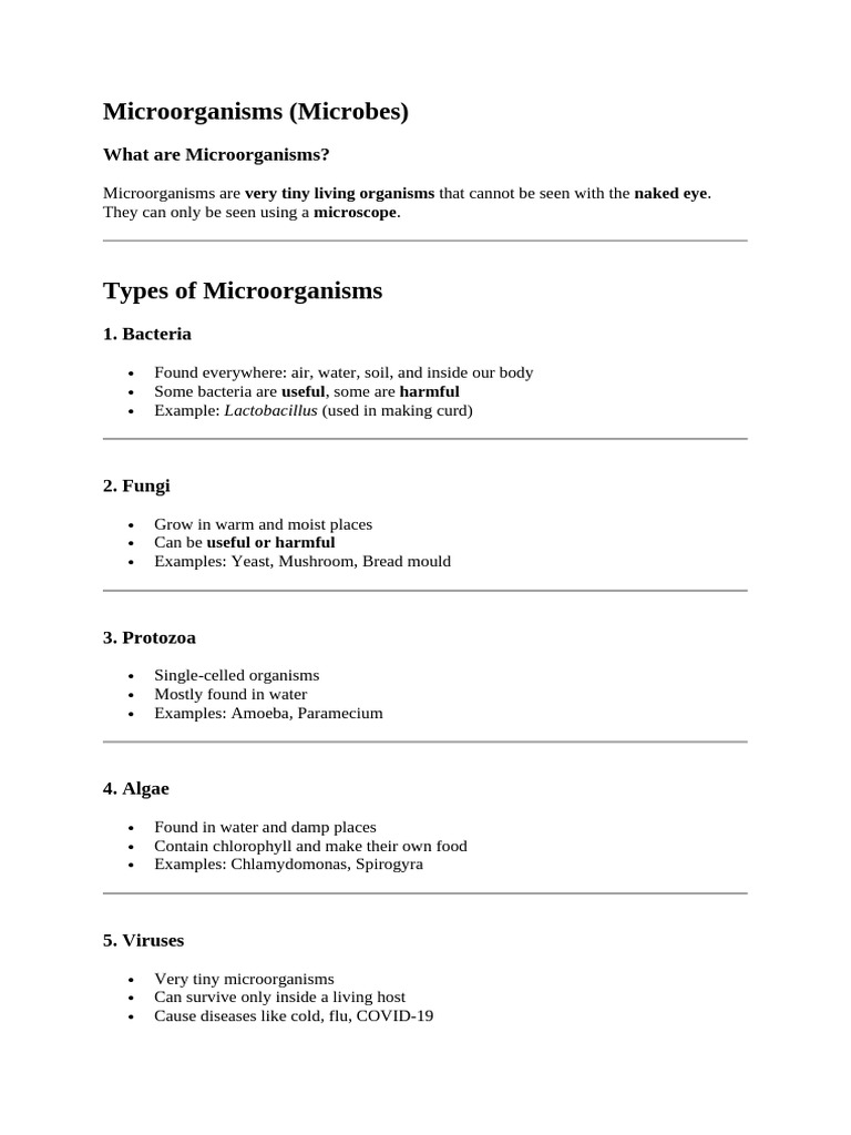 Understanding Microorganisms: Types & Uses | PDF