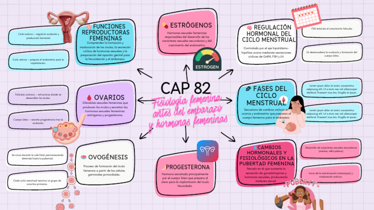 Mapa Mental - Fisio Guyton Cap 82 (1) | PDF | Ciclo menstrual | Ovario