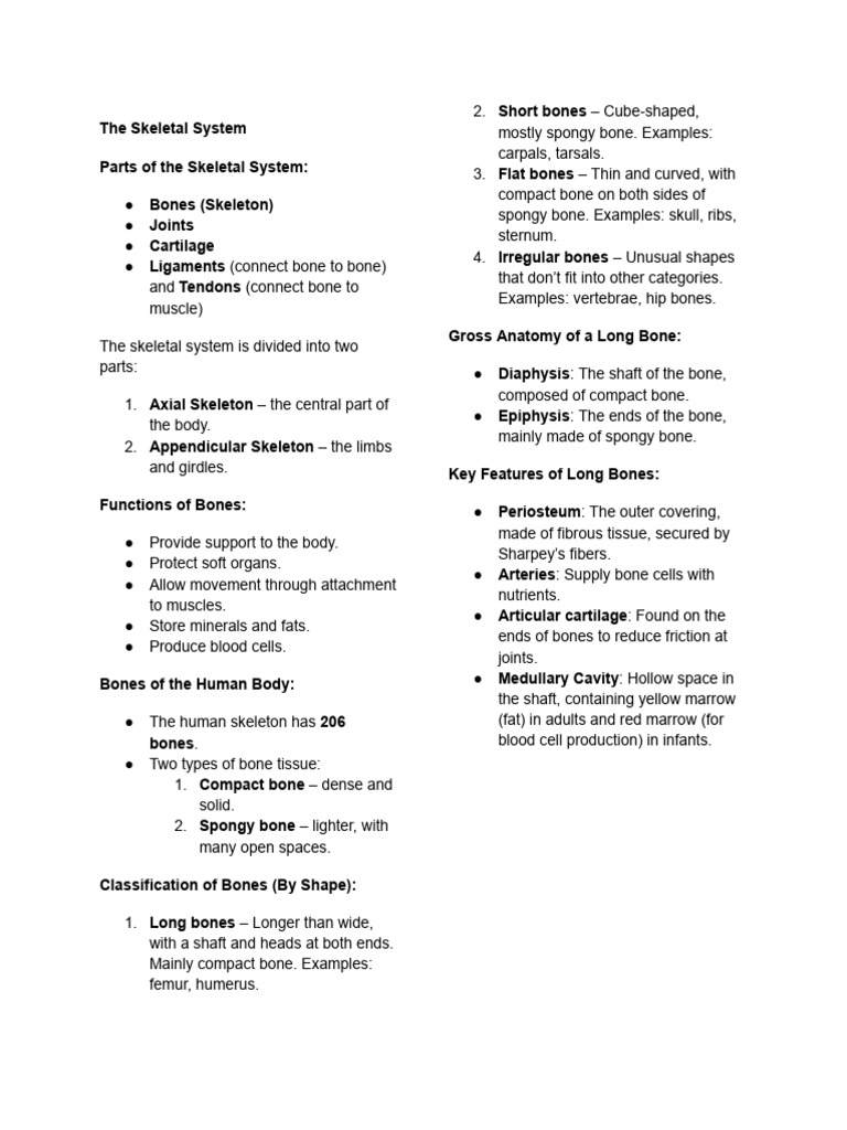 The Skeletal System (1) | PDF | Bone | Skeleton