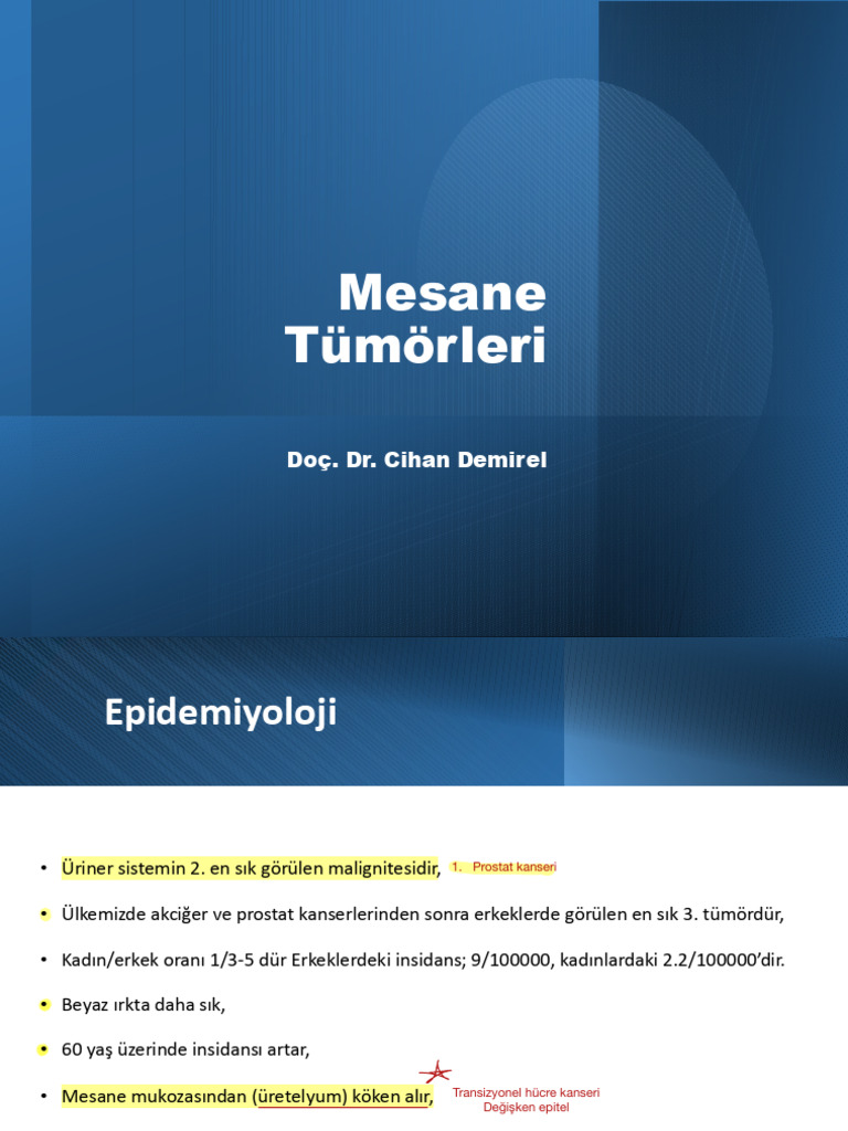 mesane tm | PDF