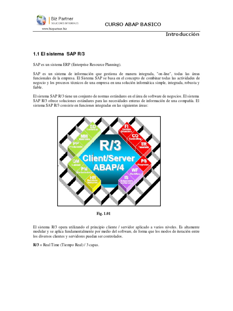 Curso Básico de ABAP para SAP | PDF | Sap Se | Bases de datos