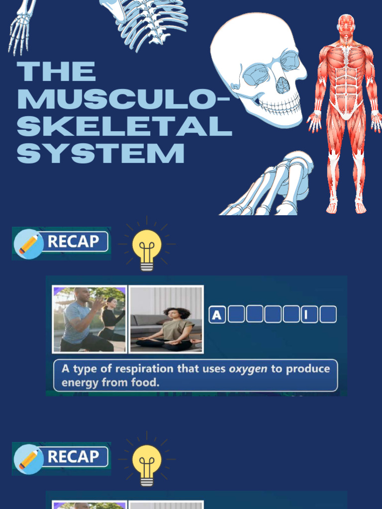 The MuSculo Skeletal System 2 1 | PDF