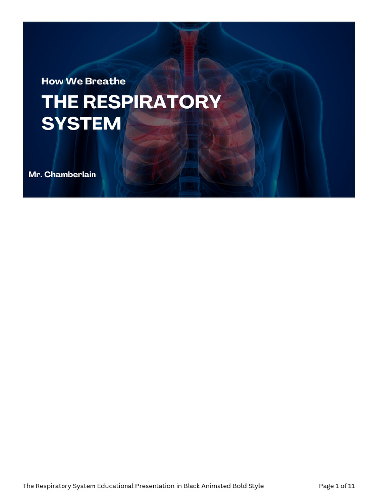 The Respiratory System Educational Presentation in Black Animated Bold ...