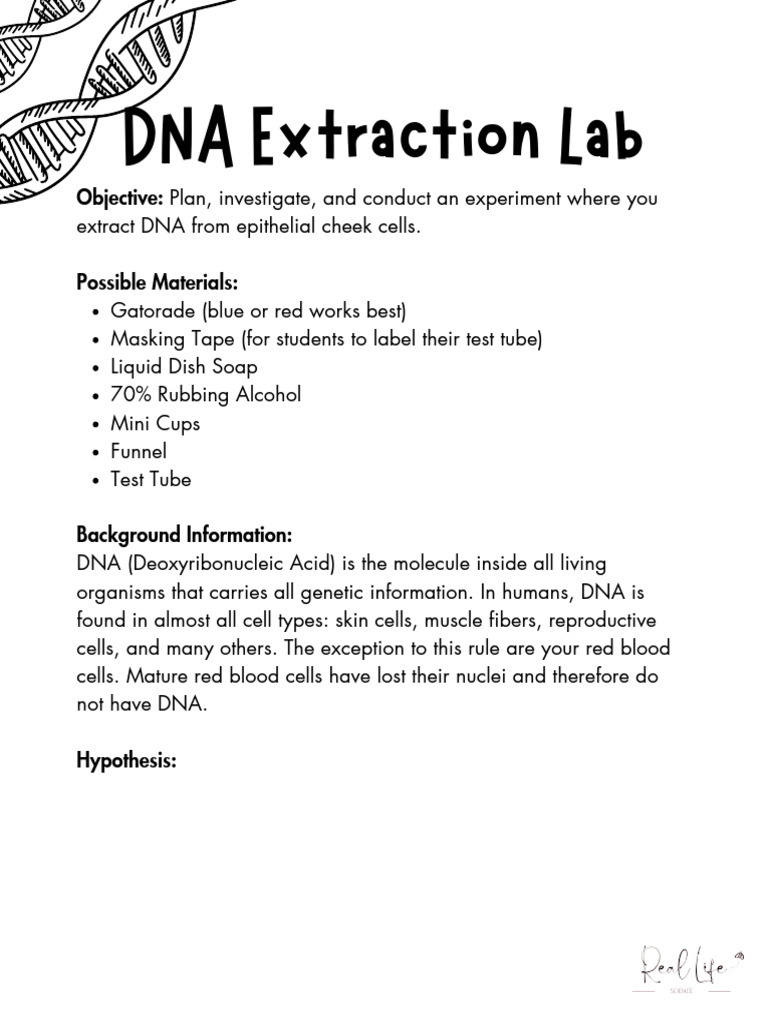 3 - DNA Extraction Lab - Gatorade | PDF