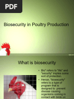 Analysis of "Passed Like a Shadow" | PDF | Prostitution | Hiv/Aids